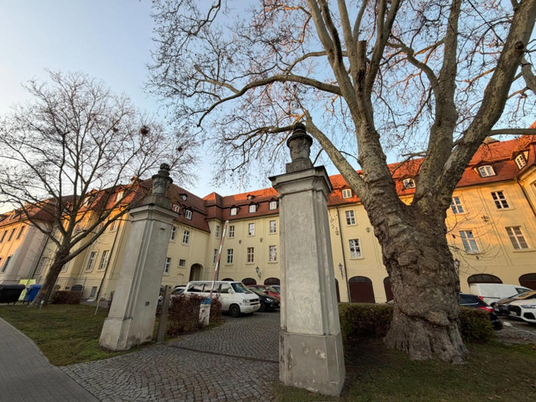 LDS: Kita-Eltern schlagen wegen Sparkurs des Kreises Alarm