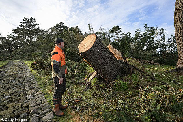 Frustrated residents hit out at lack of response after Storm Goretti ...