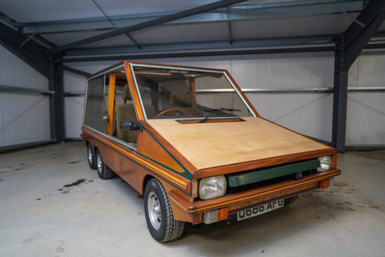 Woman owns 50 cars including £1.2m Toyota and one made of wood