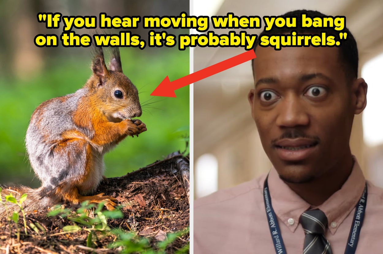 People are sharing the red flags they look for when seeing a home for ...