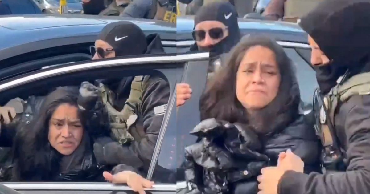 ICE Sparks Outrage for Brutally Dragging Woman from Car Days in ...