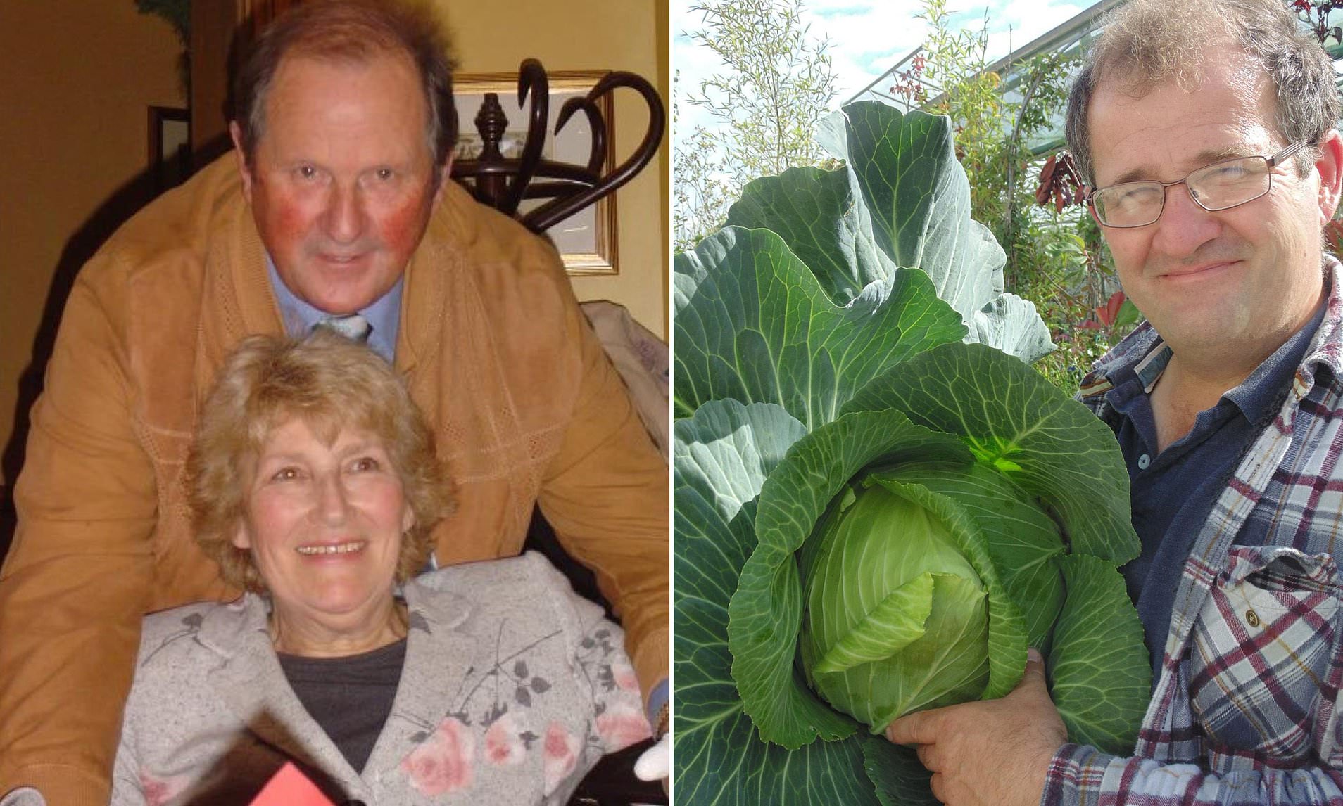 Family at war over 'Teletubbies' farm shop: Mother and daughter sue ...