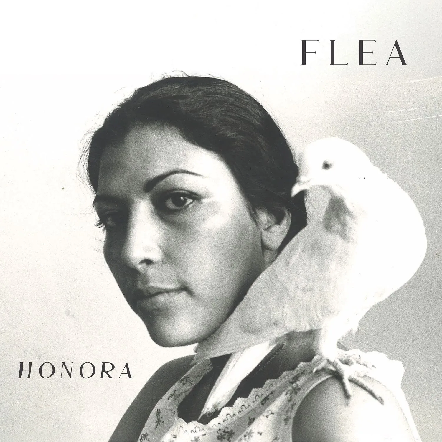 Flea shares ‘Honora’ album details, new single with Thom Yorke and solo ...