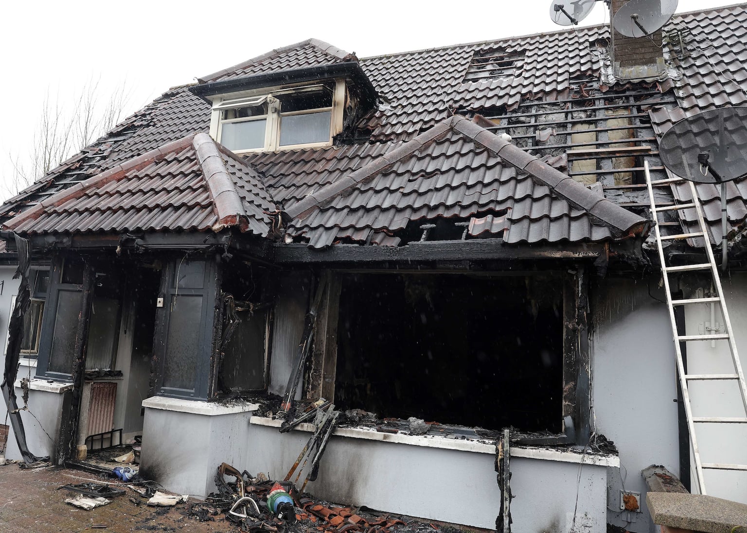 Man injured and pet dog killed in petrol bomb attack