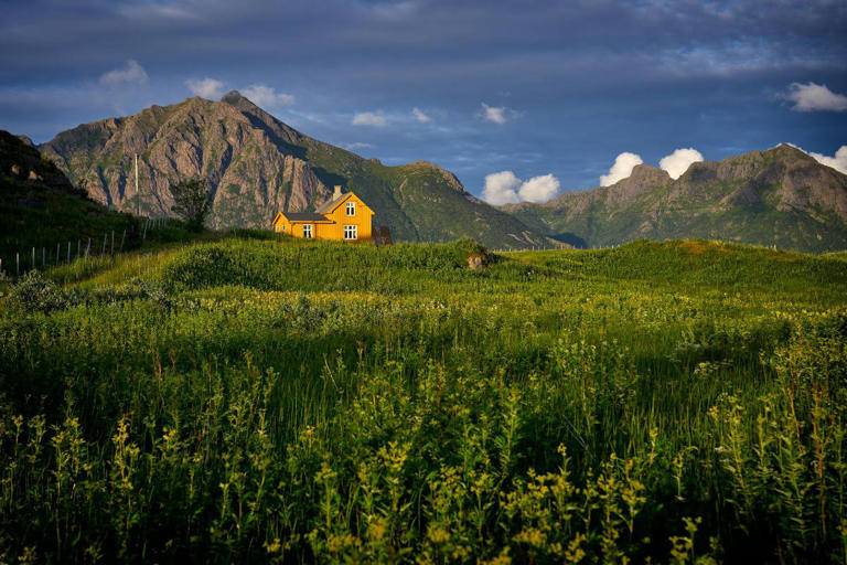 What are travel industry's expectations for 2026?