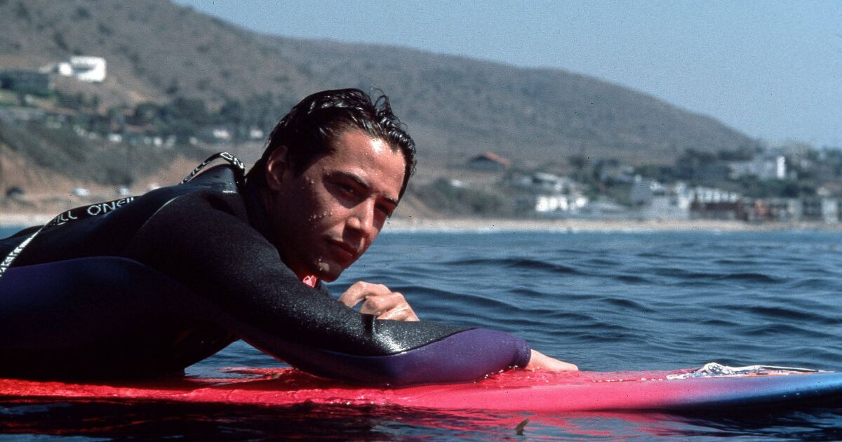 "Ich hab den Film geschrieben": James Cameron soll für Keanu-Reeves ...