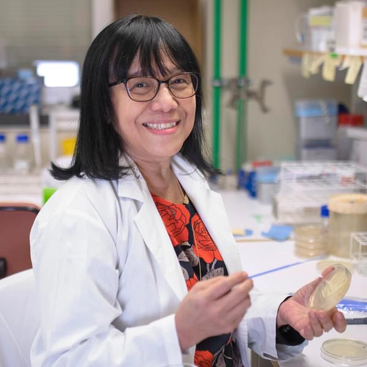 Bacterial toxin can counteract colorectal cancer growth