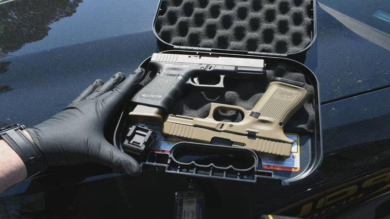 Bill banning local gun lock requirements in vehicles passes Georgia Senate