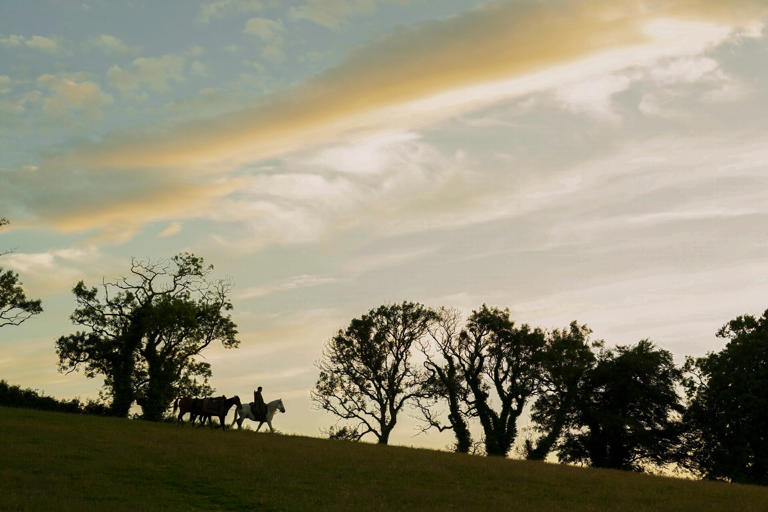 Review: A knight of the seven kingdoms strips Westeros back to what matters