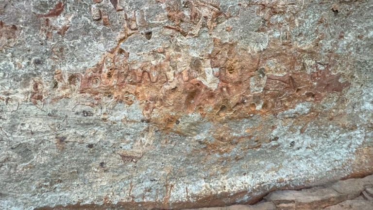 10,000-year-old civilisation in Odisha? Archaeological body begins dig