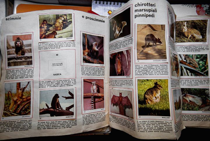 15 fading '70s childhood pastimes