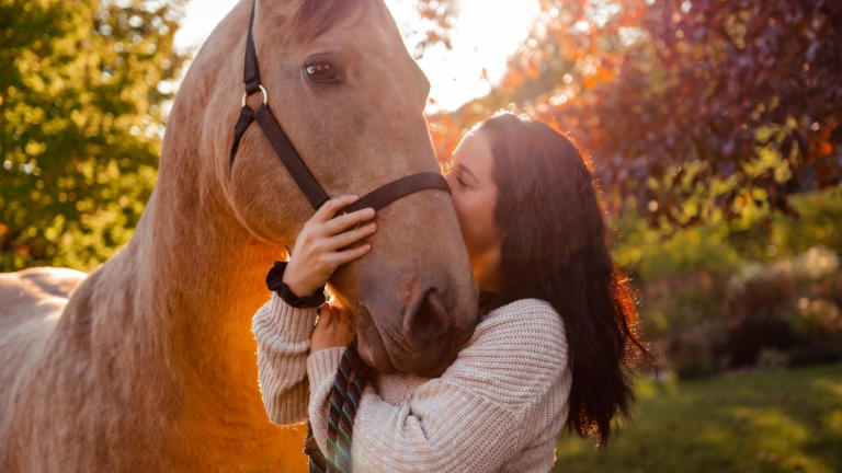 Horoscope chinois 2026 : voici ce que l’année du Cheval de Feu vous ...
