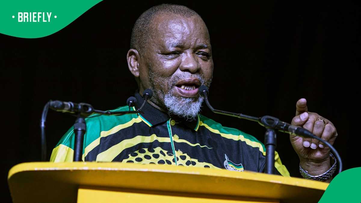 South Africans reject Gwede Mantashe's attempts to explain unemployment ...