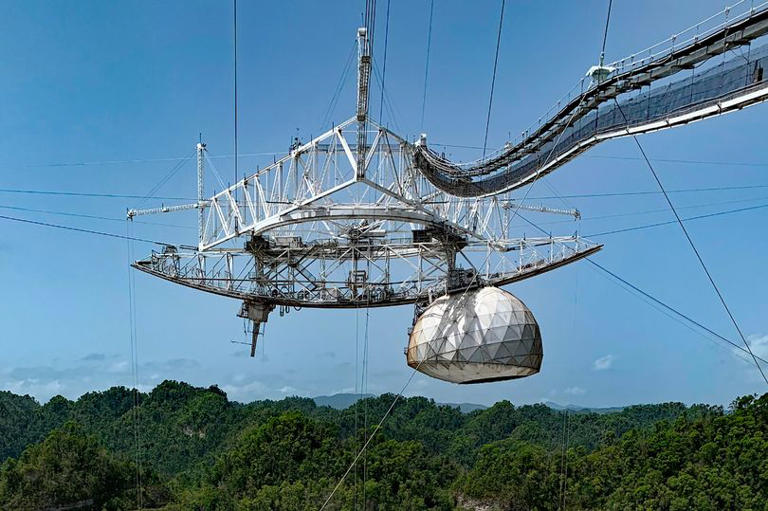 Hunt for aliens narrowed down to 100 'signals of interest' due to James ...