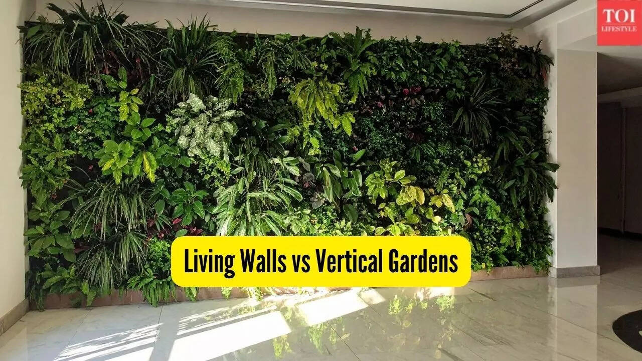 Living walls vs vertical gardens: What’s the real difference, which is ...