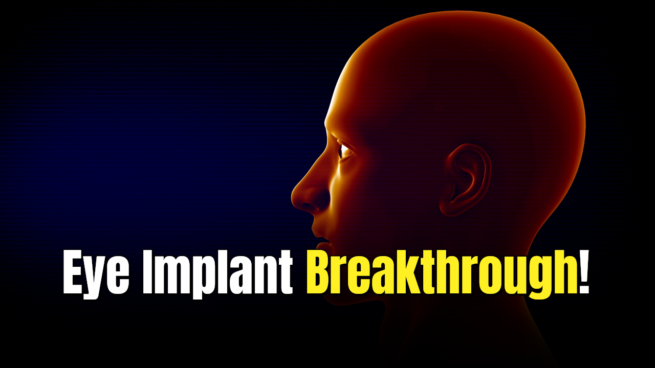 Tiny eye implant could restore vision lost to macular degeneration