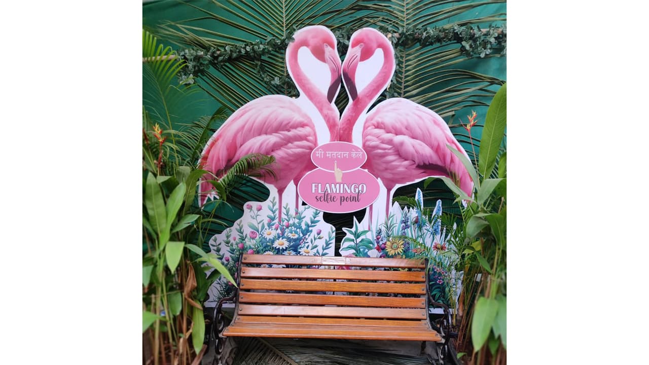 Maharashtra civic polls: 29 corporations to vote amid new alliances