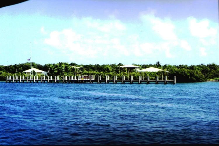 Miami’s two wild sides: South Beach nights and Biscayne National Park