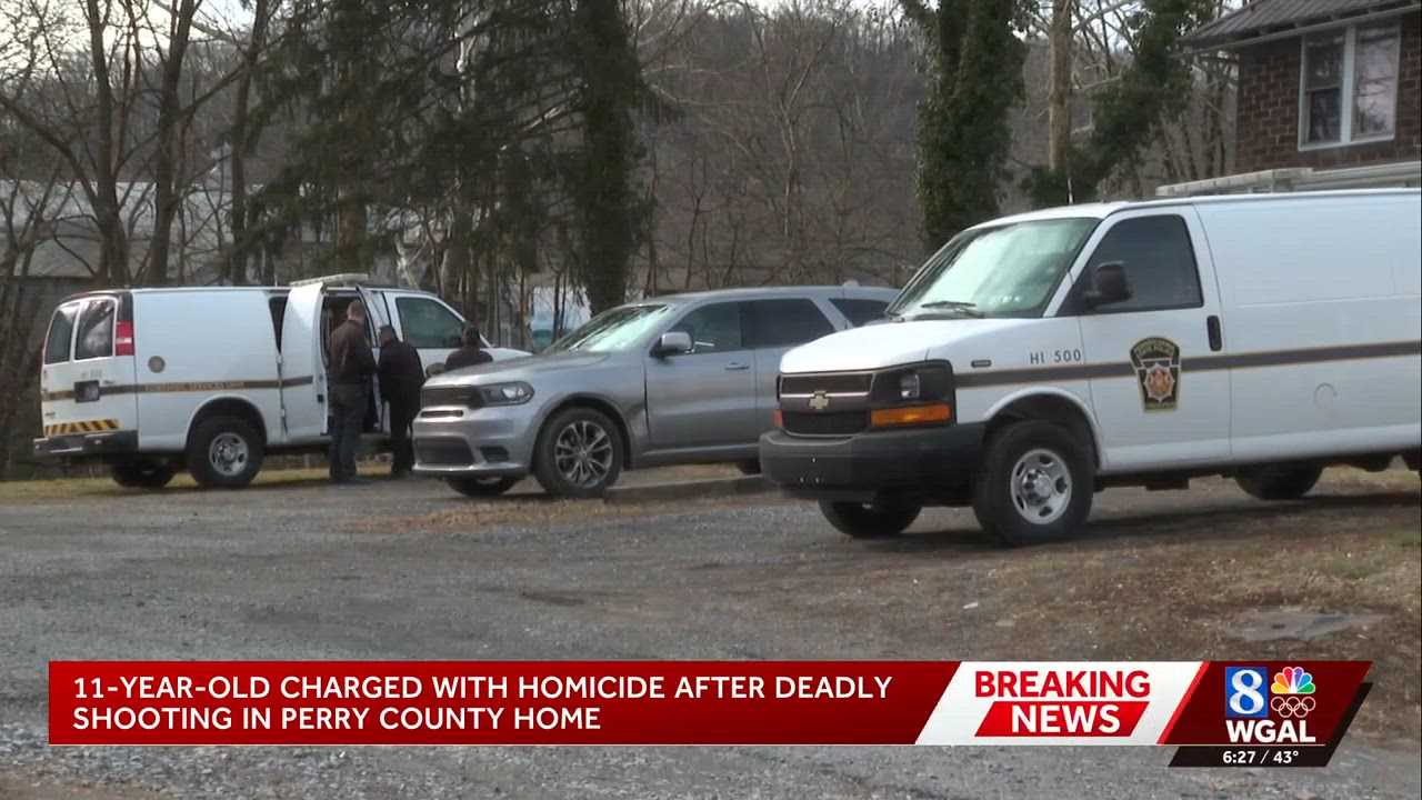11-year-old Pennsylvania boy shoots father after Nintendo Switch was ...