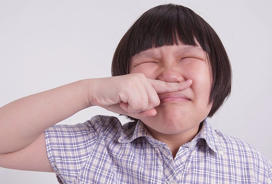 MLK weekend 2026 on Long Island: Best things to do with kids