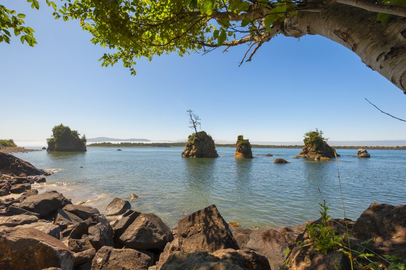 Remains that washed up on Washington beach identified as former Oregon ...