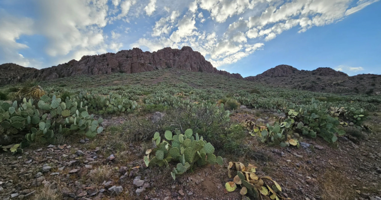 5 underrated state parks in New Mexico most people miss