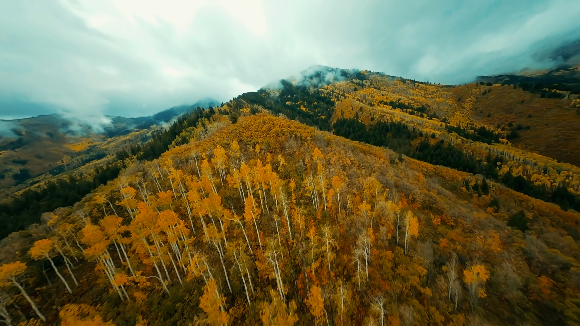 Autumn by first person view drones, part 3