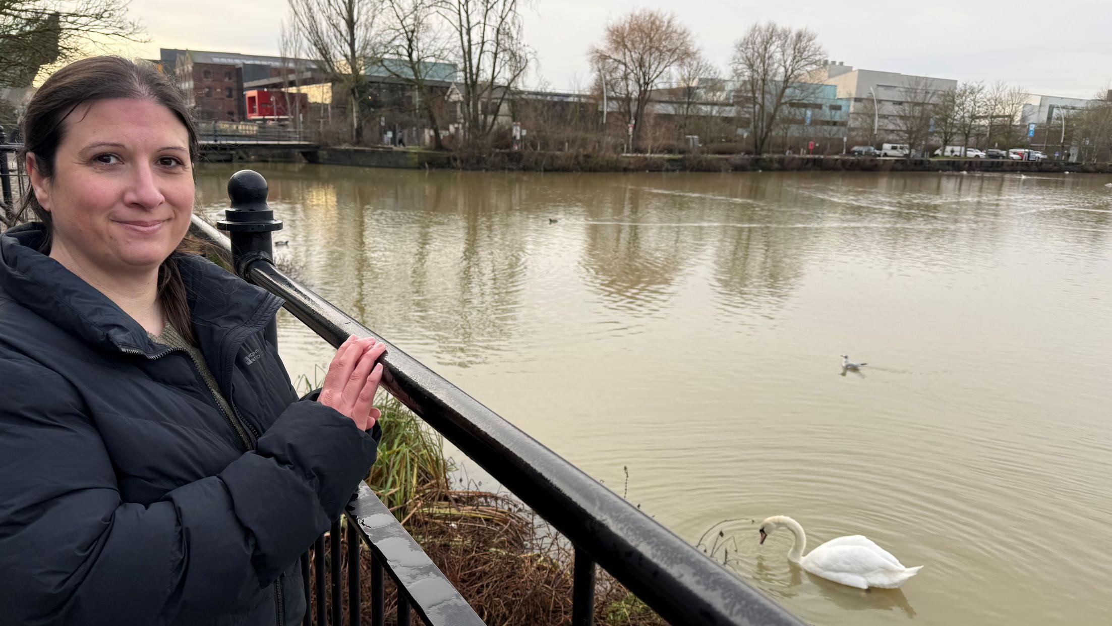 Bird flu outbreak blamed for death of swans