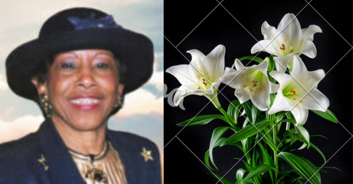 Alma Lee Allen, 96, of Racine - obituary