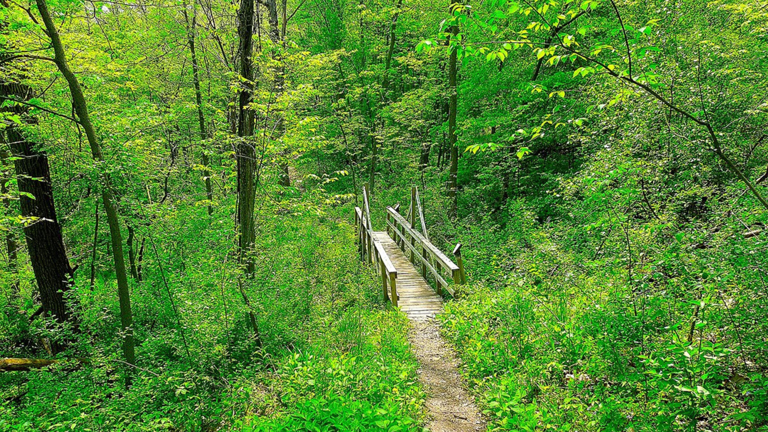 13 trail races with views and vibes that will blow you away