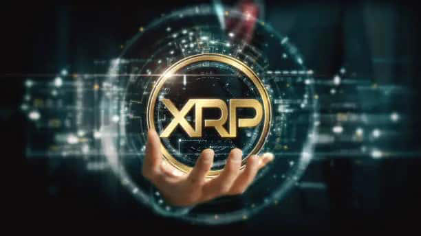 XRP & Ethereum turn bullish but experts say only zero knowledge proof ...