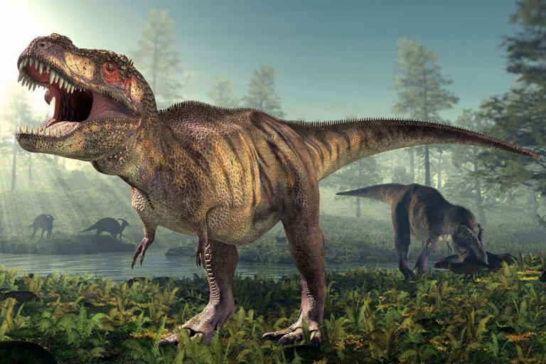 T rex took 40 years to become fully grown