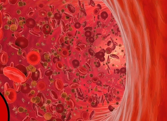 Platelet count drops in winter: These warning signs can be dangerous if ...