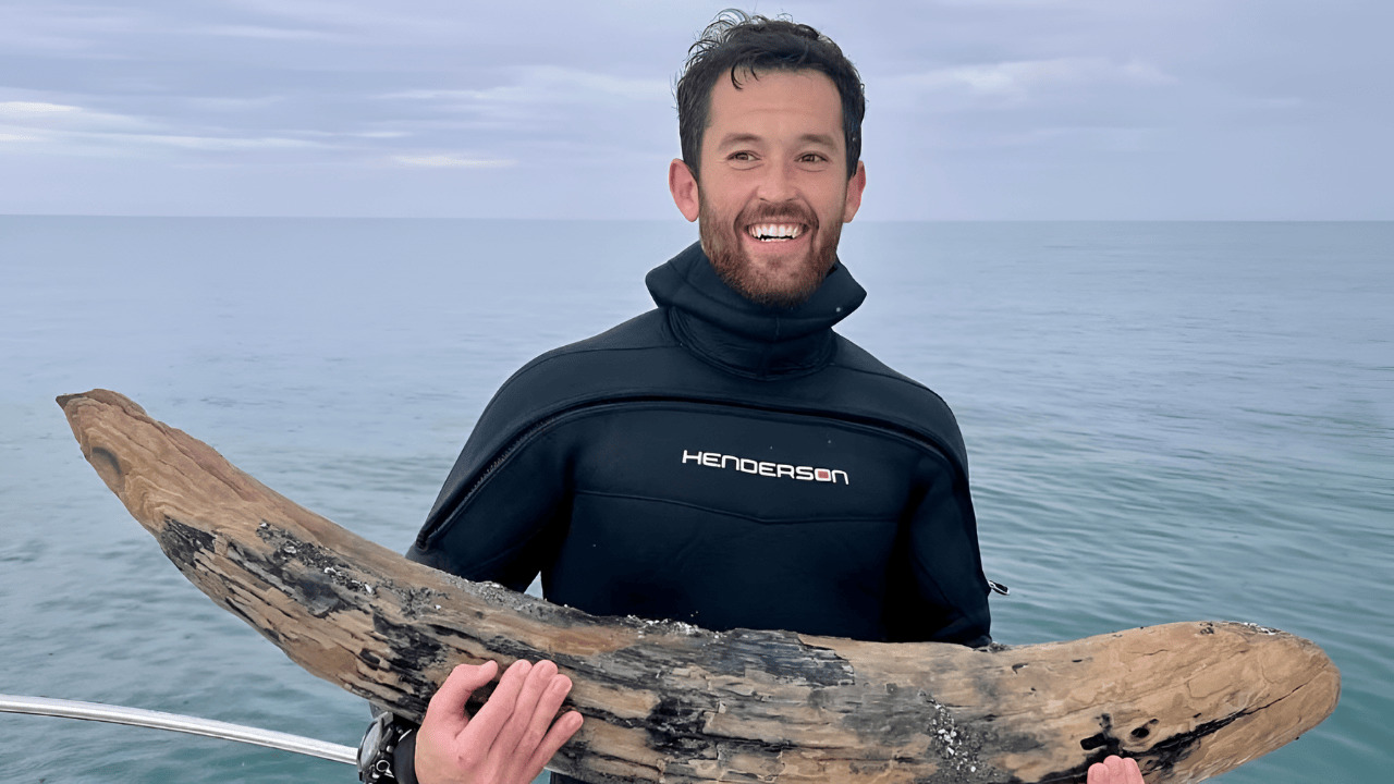 Florida Gulf Coast under investigation after 15 million year old ...