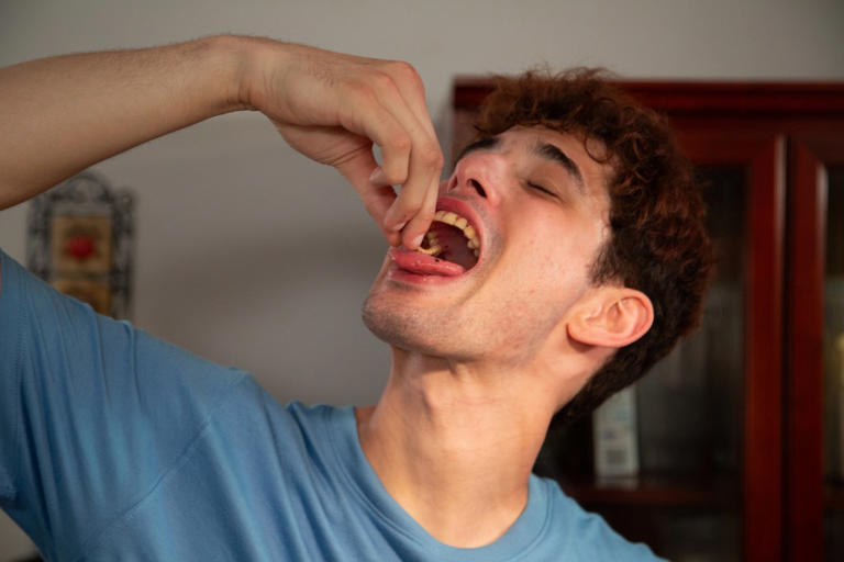 I eat up to 100 live bugs a day — I love being the 'master of their ...