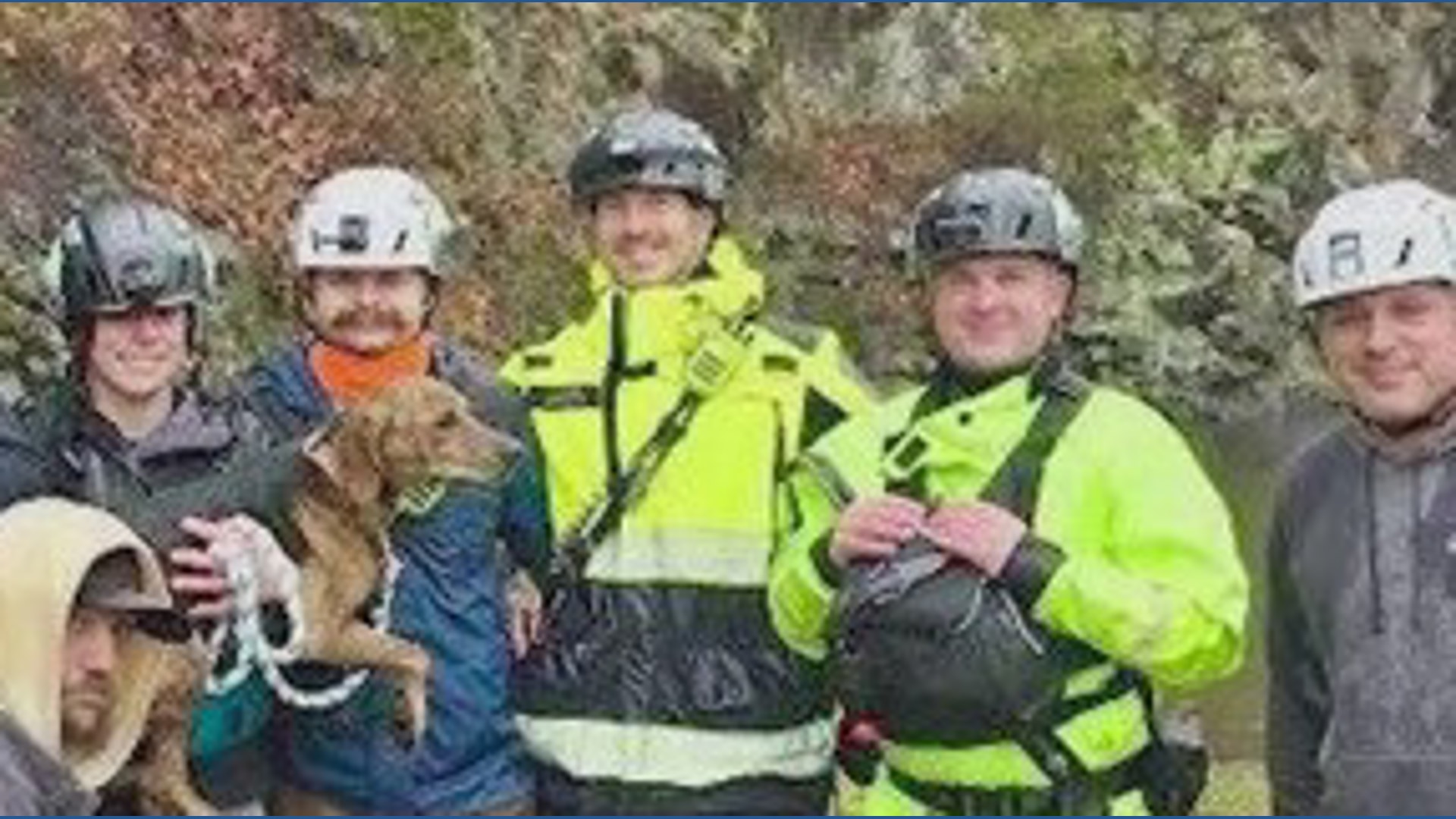 Virginia firefighters rescue dog stuck on rocky cliff #NelsonCounty # ...