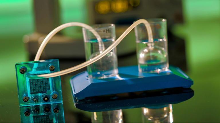 China’s ‘soggy sand’ breakthrough helps zinc water batteries reach ...