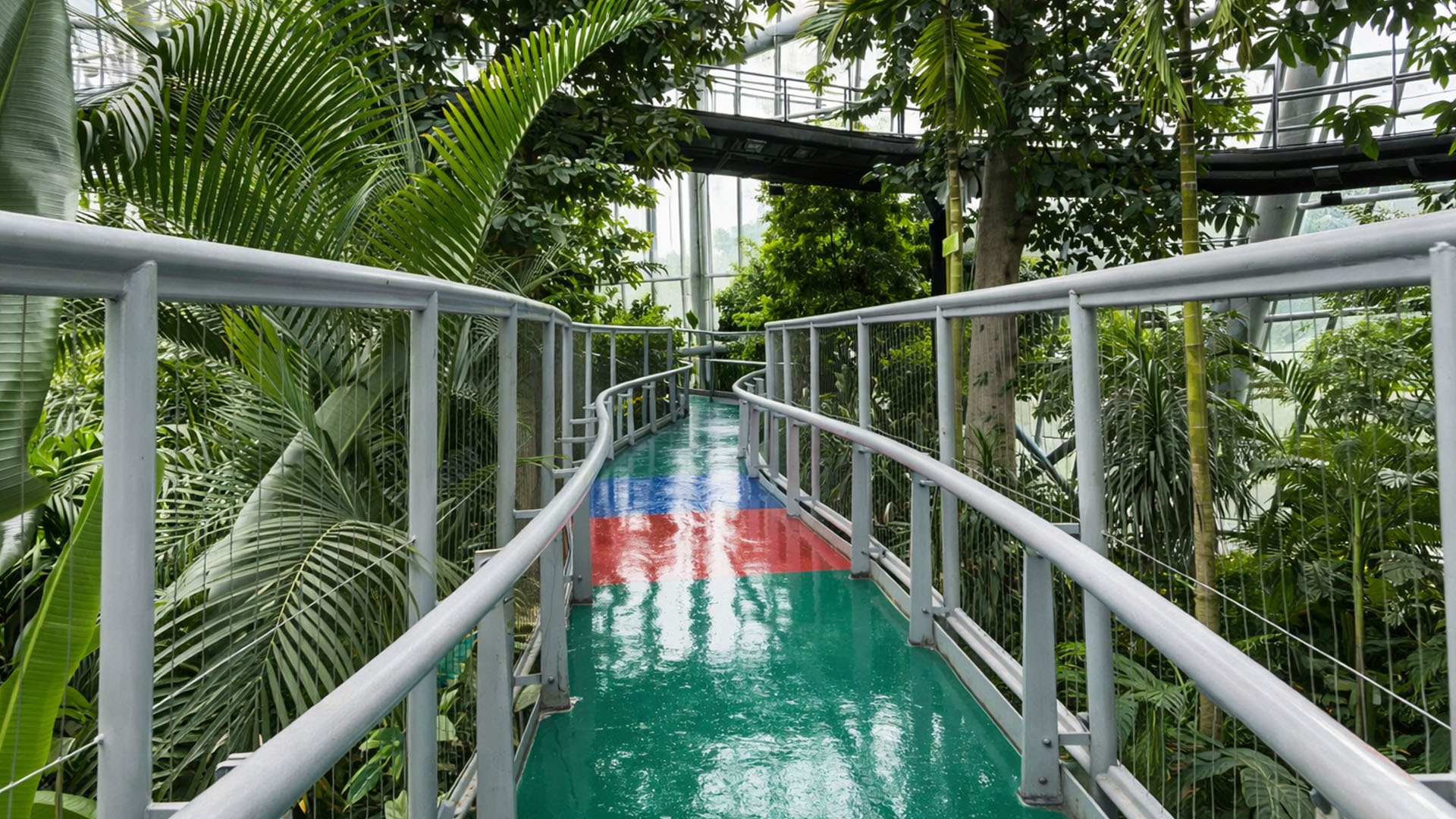 Step into a living forest inside glass in Huizhou
