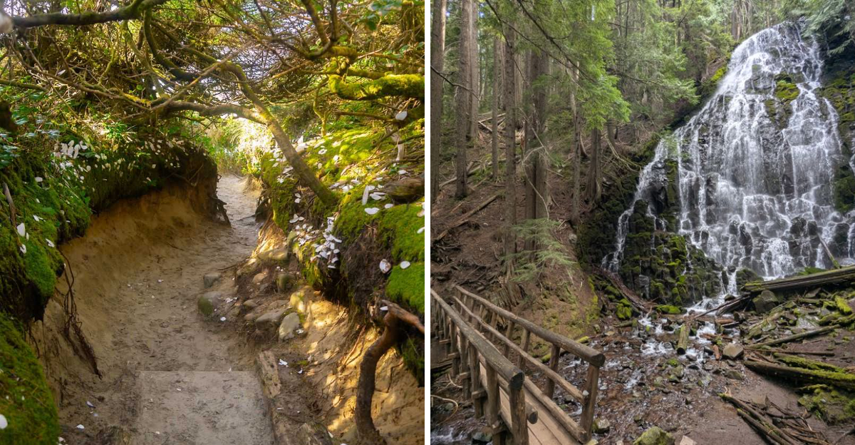 10 Oregon nature trails that make locals forget the city
