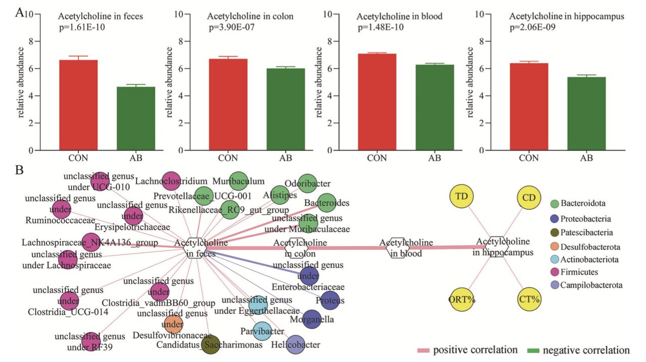 The aggressive use of antibiotics could fuel mood disorders and anxiety