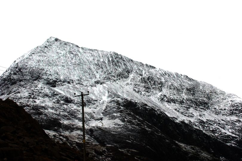 Dad-of-three reached for his dog then lost his balance and tumbled ...