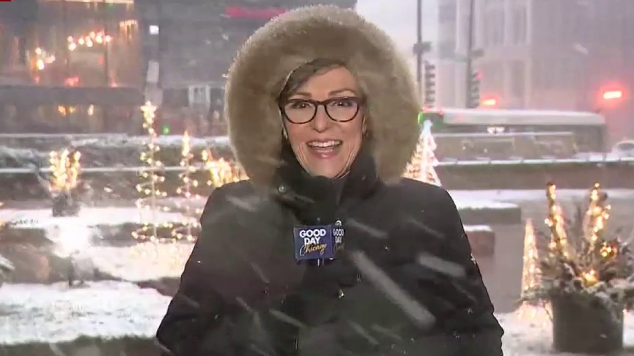 Heavy burst of snow hits Chicago, grounds flights