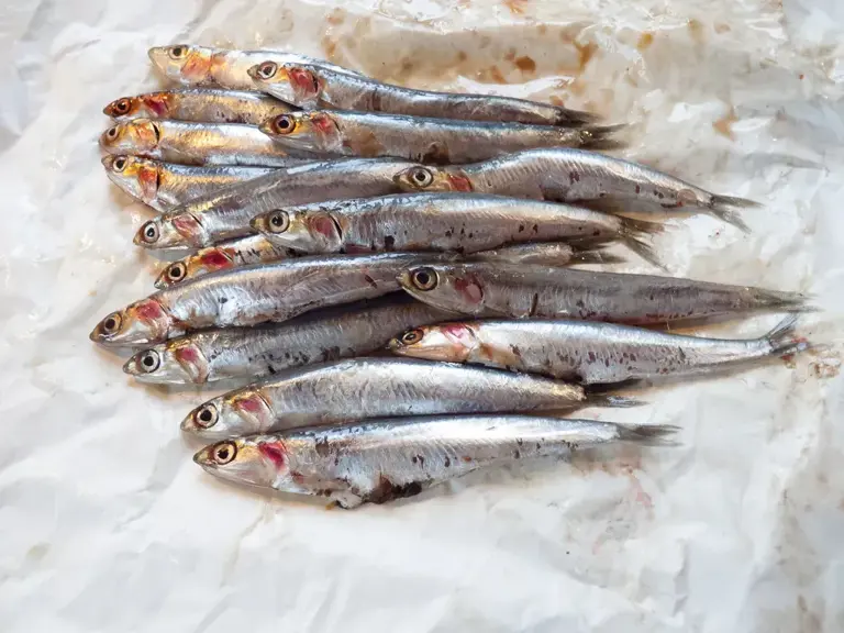 The 6 most polarizing American foods, ranked by public opinion