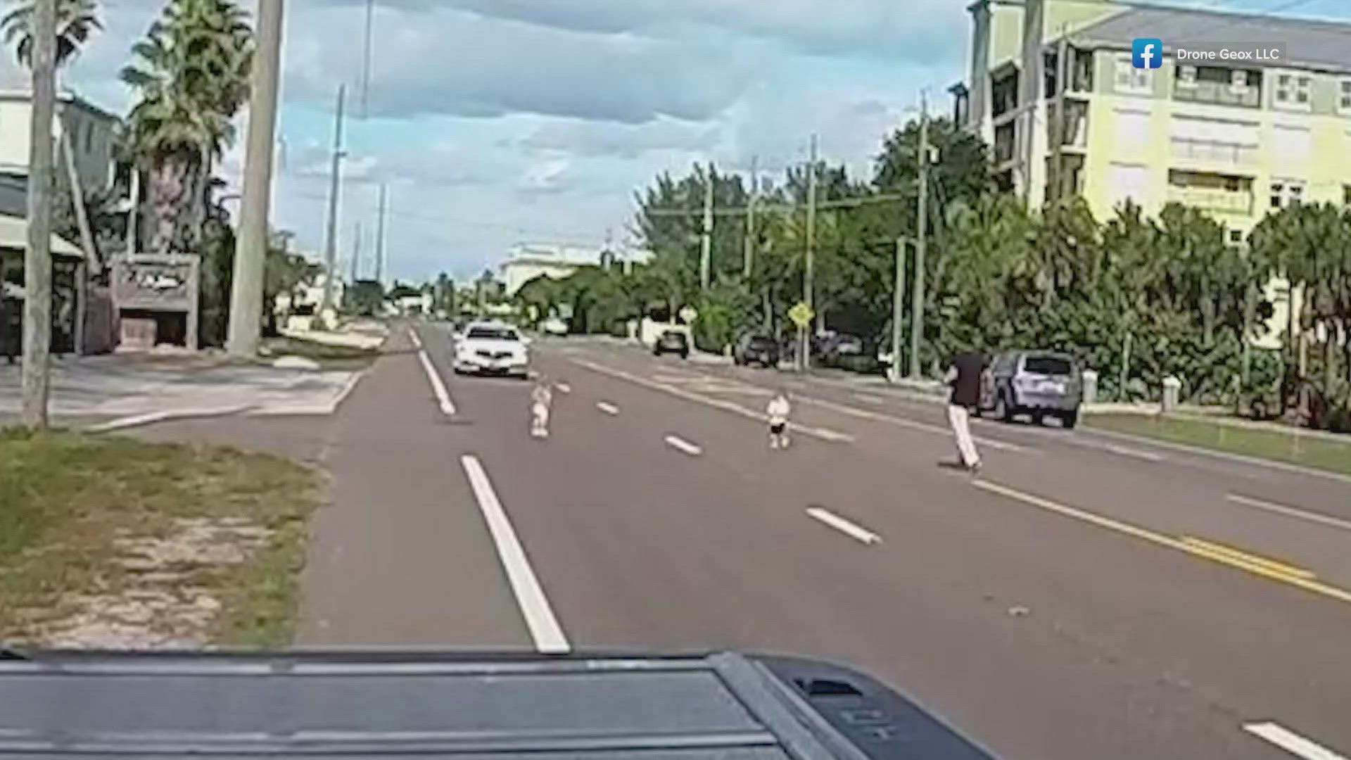 Florida man jumps into action to save two toddlers