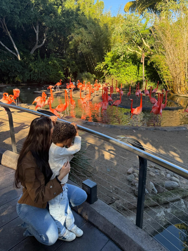 Maralee Nichols shares rare photos with Tristan Thompson’s son Theo for ...