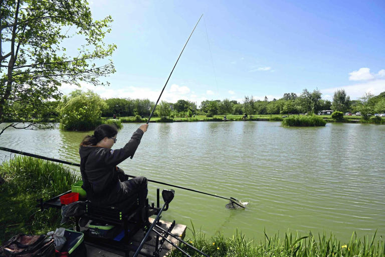 Fishing near me | Best commercials for silvers