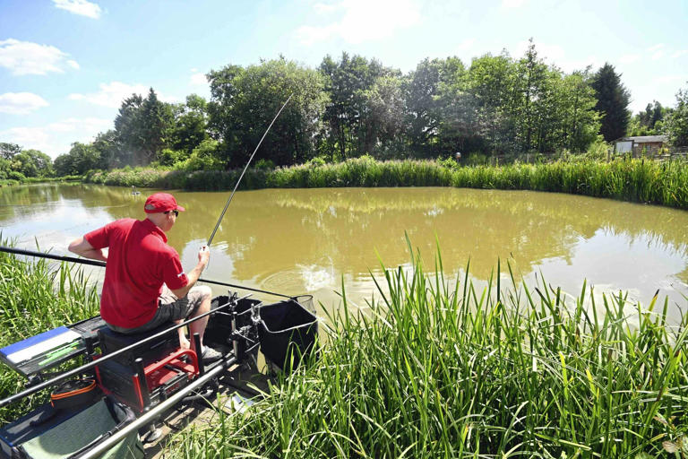 Fishing near me | Best commercials for silvers