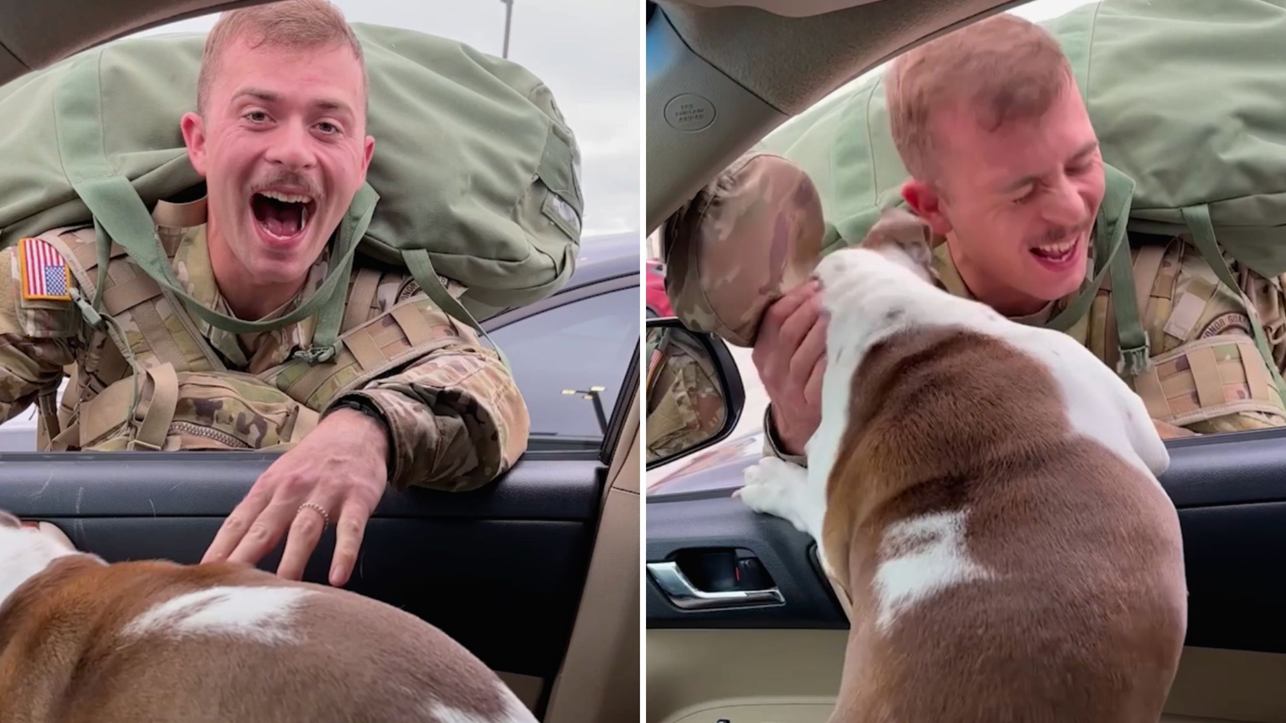Soldier and dog can't contain excitement when they're reunited | Happily TV