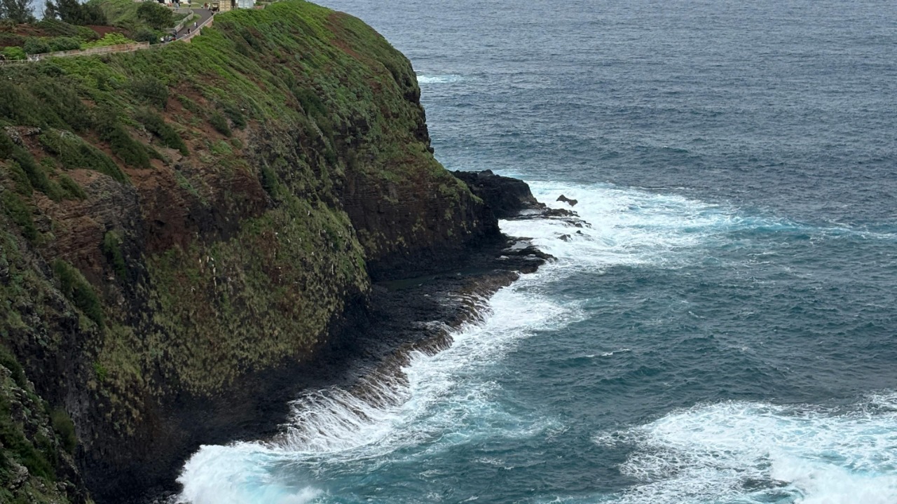 Scientists sound alarm on disturbing new trend along US coastlines
