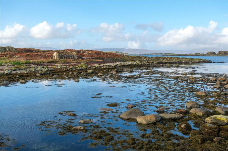Beautiful remote island on sale for just £50,000 – but there's a catch